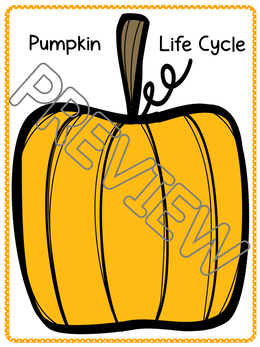 Pumpkin Life Cycle Lesson and Activities for Preschool, PreK and Kinde ...