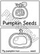 Pumpkin Life Cycle Lesson and Activities for Preschool, PreK and Kinde ...