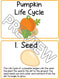 Pumpkin Life Cycle Lesson and Activities for Preschool, PreK and Kinde ...