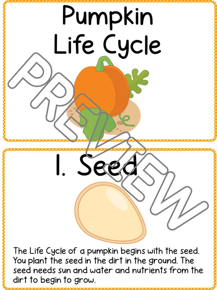 Pumpkin Life Cycle Lesson and Activities for Preschool, PreK and Kinde ...