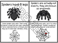 Spider Lesson and Activities for Preschool, PreK and Kindergarten ...