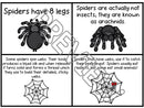 Spider Lesson and Activities for Preschool, PreK and Kindergarten ...